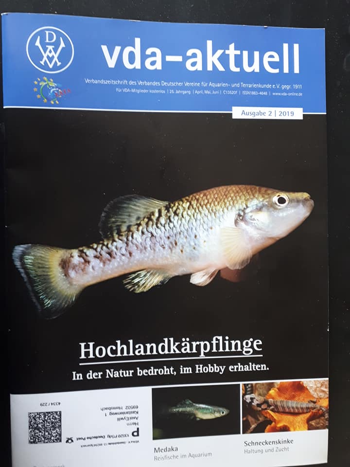 vda | medaka projekt メダカプロジェクト